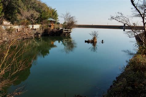 鏡池三重県松阪 水辺遍路