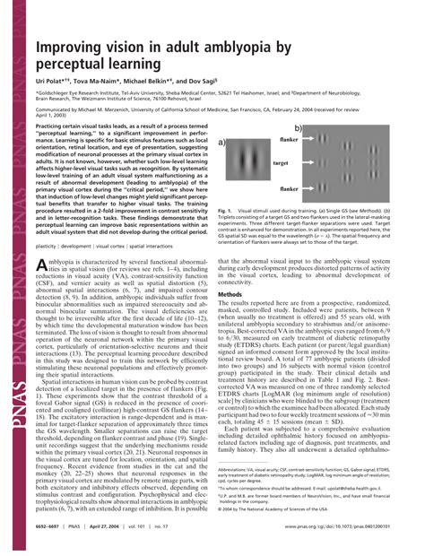 Pdf Improving Vision In Adult Amblyopia By Perceptual Learning