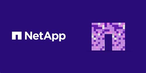 数据基础架构管理 数据基础架构 NetApp