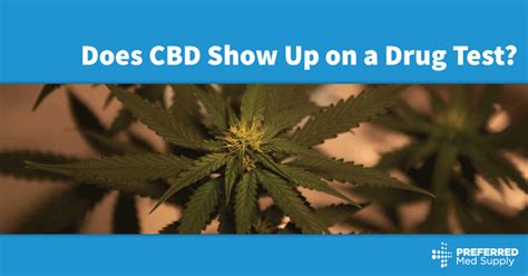 Does CBD Show Up On A Drug Test Preferred Med Supply
