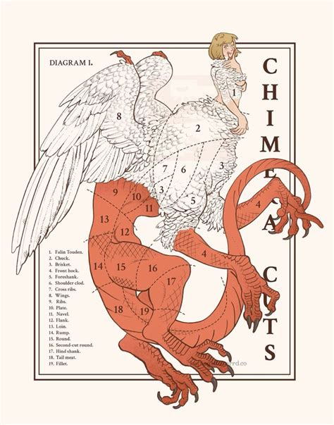 Pin On Dungeon Meshi In Dungeon Anime Character Art Character Design