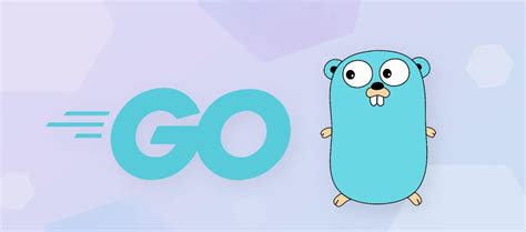 Is Golang Object Oriented Stackademic