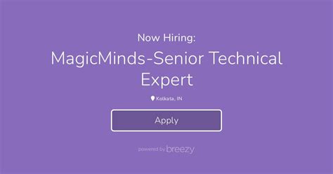 magicminds senior technical expert at nexthire