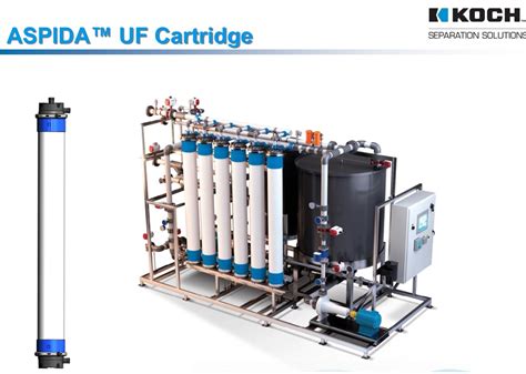 MÀng Uf Aspida Koch