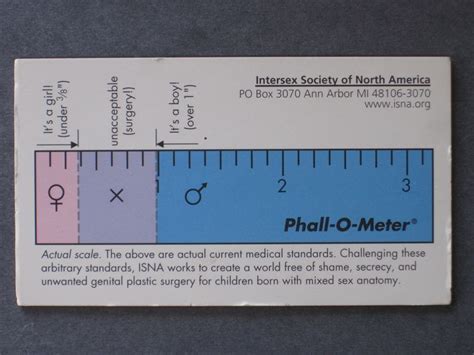 Curious Quick And Short Get Your Questions Ready For Ask A Curator Day National Museum Of