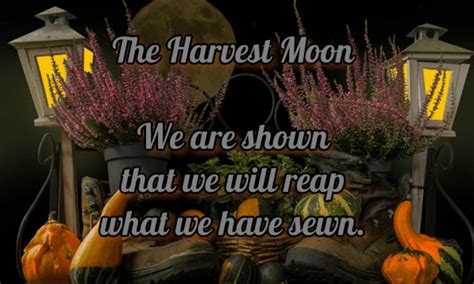 Ritual Witch Digest