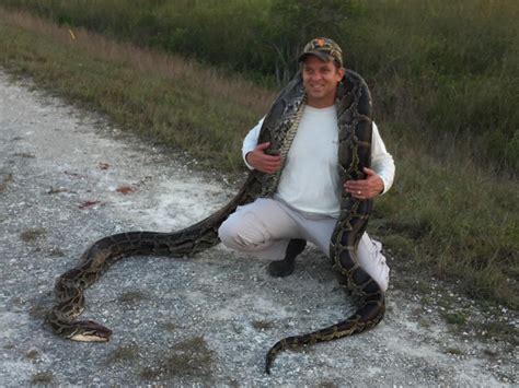 Pythons And Politicians Naked Politics