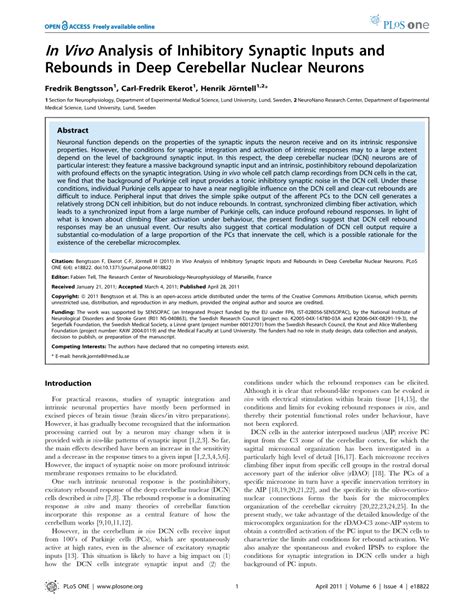Pdf In Vivo Analysis Of Inhibitory Synaptic Inputs And Rebounds In