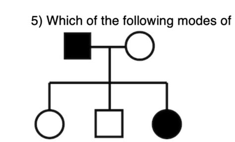 Genetics Midterm 1 Test B Flashcards Quizlet