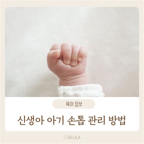 신생아 아기 손톱 자르는 시기 손톱가위 네일 트리머 네이버 블로그