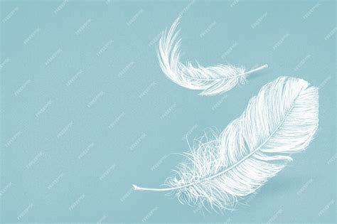 Feather Designs For Background
