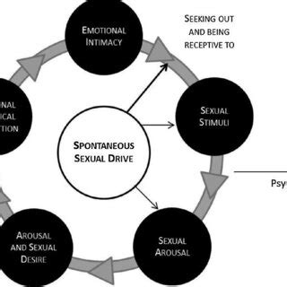 Kaplan S 1979 Three Stage Model Of Sexual Response Download Scientific Diagram