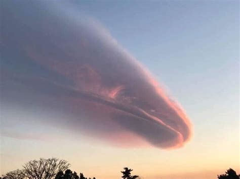 아빠가 상어 구름 떴다고 빨리 보래 유머 게시판