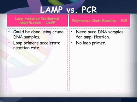 Lamp Pcr