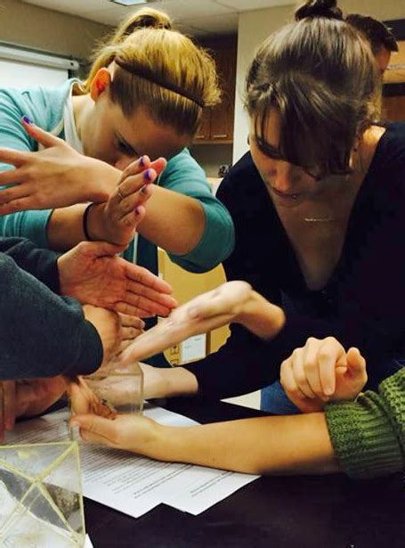 Using Gesture To Support Spatial Thinking