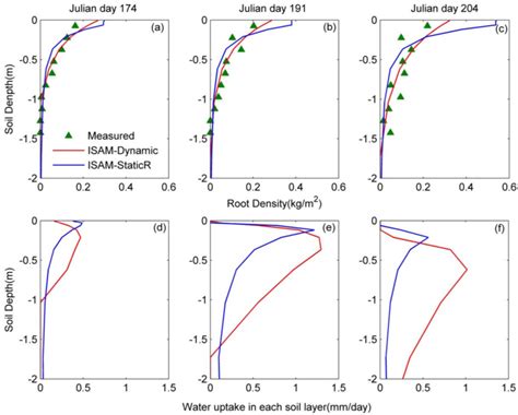 Comparison Of Modeled And Measured Corn Root Density A C And Water Download Scientific