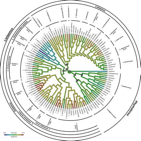 Maximum Likelihood Reconstruction Of Ancestral Character States For