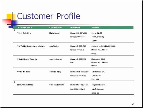 Client Profile Template Word Peterainsworth