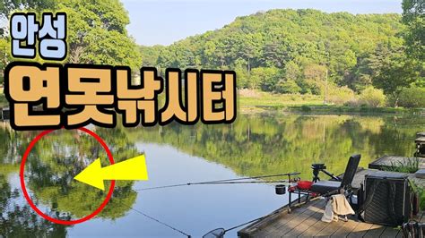 안성 연못낚시터손맛터캠핑가능한 낚시터 토종붕어 고삼지 캠핑 Youtube