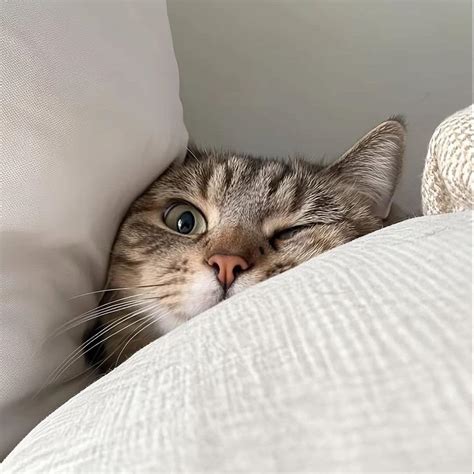 ฅนคอหนัง รีวิว เตรียมพบกับ ยุกซองแจ โบนา คิมจีฮุน ในเรื่องราวย้อนยุคในสมัยราชวงศ์โชซอน