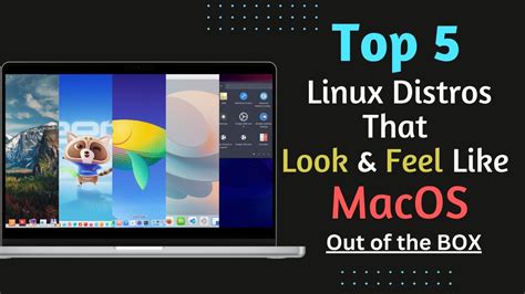 5 Linux Distros That Look And Feel Like Macos Out Of The Box Youtube