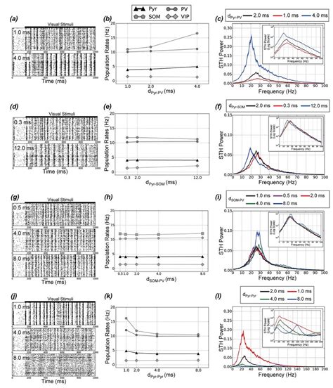 Effects Of Synaptic Delay On Activity In The Proposed Microcircuit Download Scientific Diagram