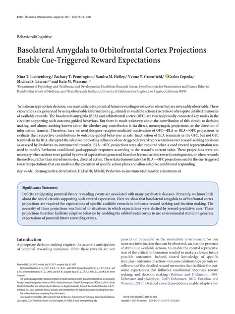 Pdf Basolateral Amygdala To Orbitofrontal Cortex Projections Enable Cue Triggered Reward