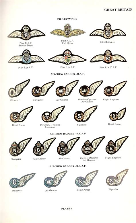 Commonwealth Air Force Wings British Army Uniform Air Force Army Badge