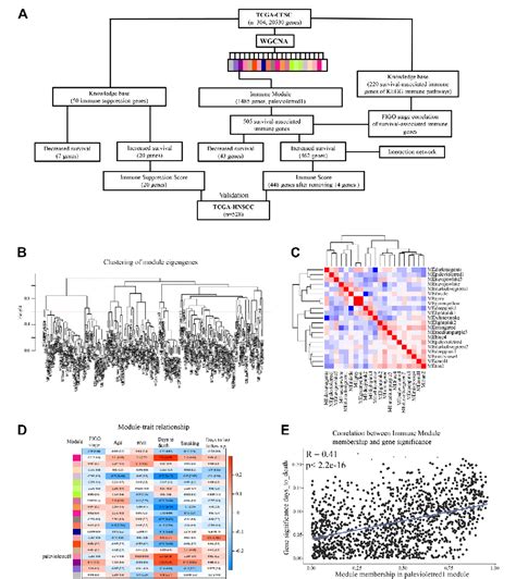 Figure From Immune Inhibitory Gene Expression Is Positively Correlated With Overall Immune