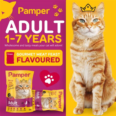 Pamper Gourmet Meat Feast Flavour Adult Dry Cat Food 2kg Bob Martin And Co