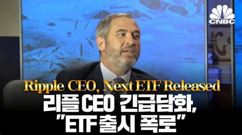리플 Ceo 다음 Etf 출시 첩보 들었다 Youtube