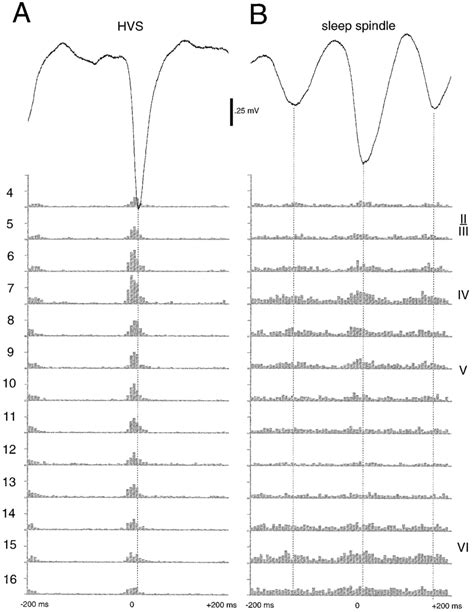 Relationship Between Field And Simultaneously Recorded Unit Activity In Download Scientific