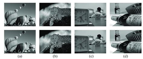 four source image pairs of different scenes for multi focus fusion