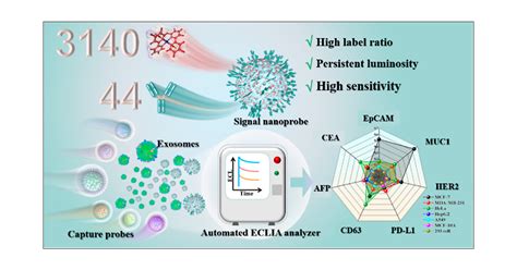 Automatic Electrochemiluminescence Method For The Detection Of Cancerous Exosomes Incorporating