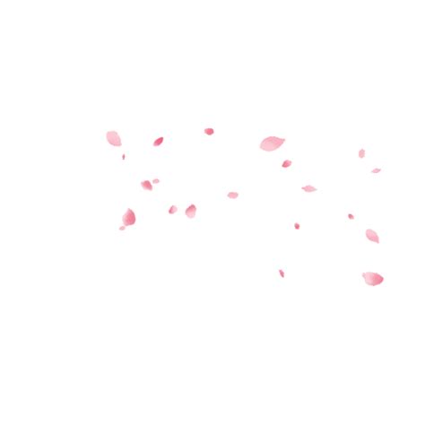 飘散特效 花瓣花朵 爱给网 aigei 花瓣网