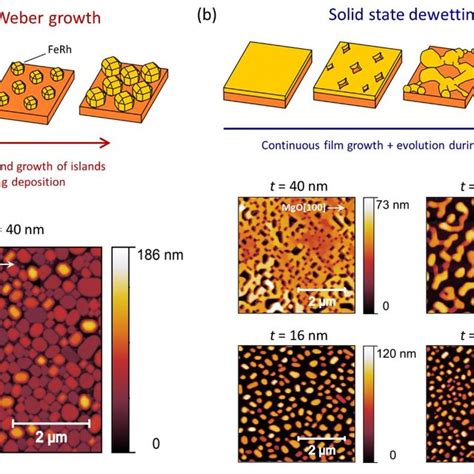 A Schematic Representation Of The Nanoisland Self Assembly Process Via