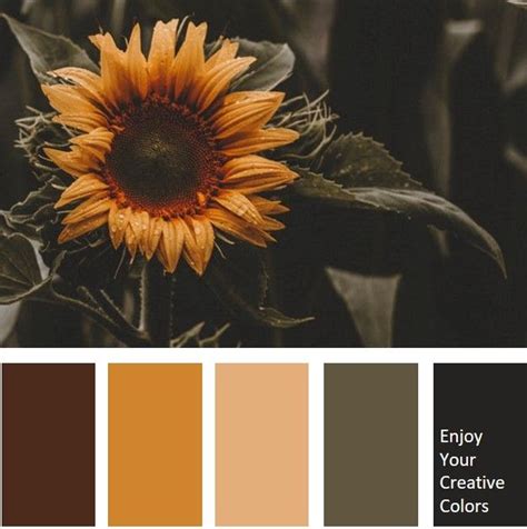 Color Palette Brown Color Palette Color Palette Colour Pallette