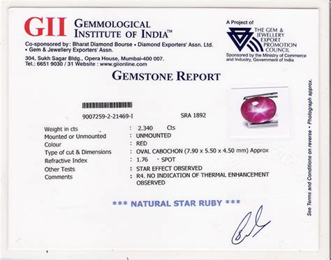 Certification Exotic Gemstones Pure Natural