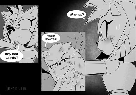 チンチラ on Twitter Not the ideal time for flirting Sonic https t co uifu6gZ5K2 Twitter