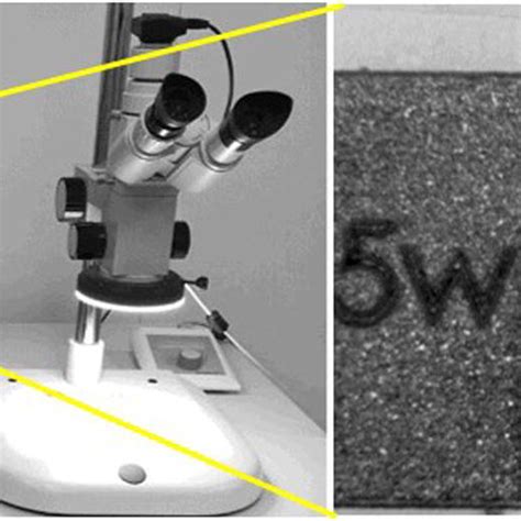 Warping Deformation Measurement By Using Mikroskop Technik Rathenow Download Scientific Diagram