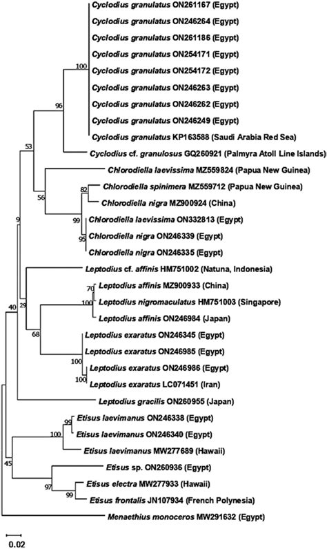 Phylogenetic Tree Using Maximum Likelihood Analyses Of Partial Download Scientific Diagram