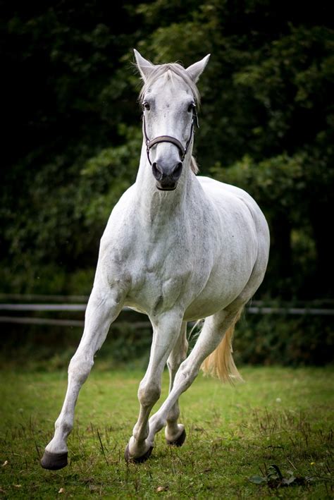 As 10 Mais Importantes Considerações Sobre Quant Backtesting Que Você Deve Saber Hyper Trader