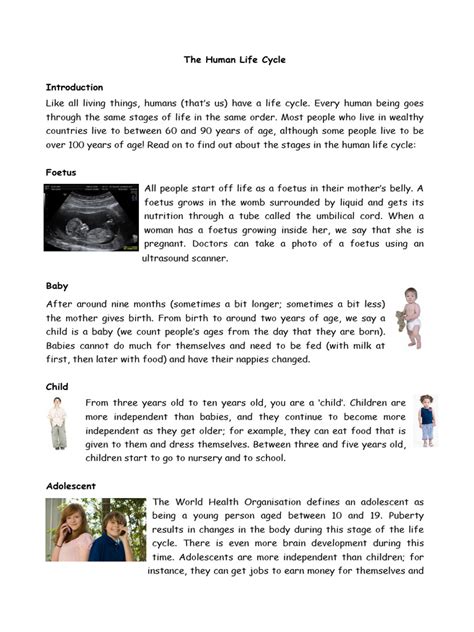 Stages Of The Human Life Cycle Pdf Adults Adolescence