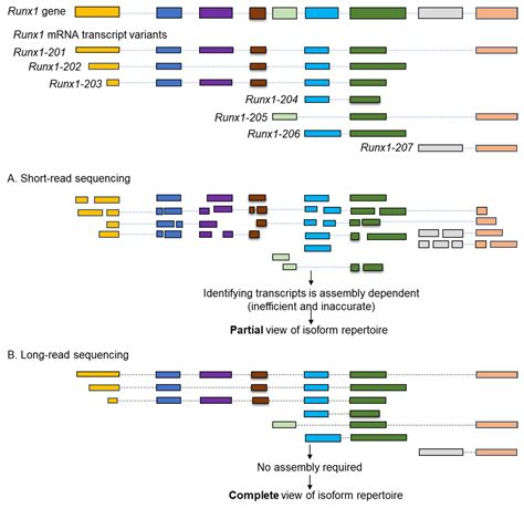 detection of mrna transcript variants