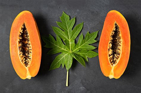 검은 배경에 녹색 파파야 잎과 잘 익은 갓 잘라 파파야 과일 상단보기 복사 공간 0명에 대한 스톡 사진 및 기타 이미지 0명 검은색 검정색 배경 Istock