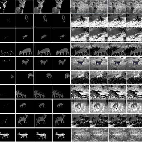The Encoding Process Of Embedded Zerotree Wavelets Ezw Algorithm