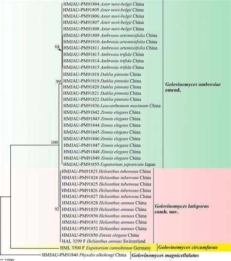 Phylogenetic Analysis Based On The Combined Sequence Datasets Of Download Scientific Diagram