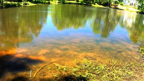 How To Catch Spawning Bass Get Fishing