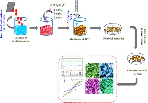 Schematic Diagram Of The Experimental Procedure Download Scientific Diagram