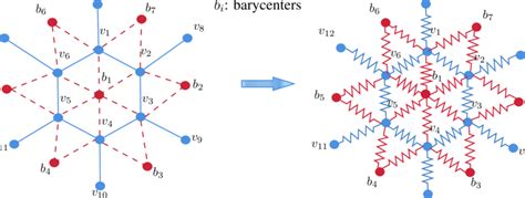 A Lattice Model Representation Of One Single Cell With Its Adjacent Download Scientific